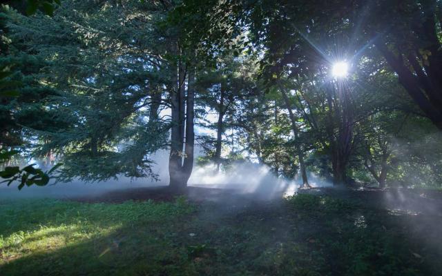 Collecting Experiential Art: Capturing the Ephemeral | Art & Object