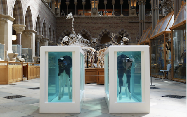Dating Discrepancy Found in Damien Hirst Works | Art & Object