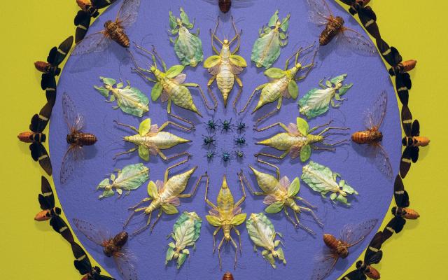 Beautiful Bugs: An Infestation of Insect Art | Art & Object